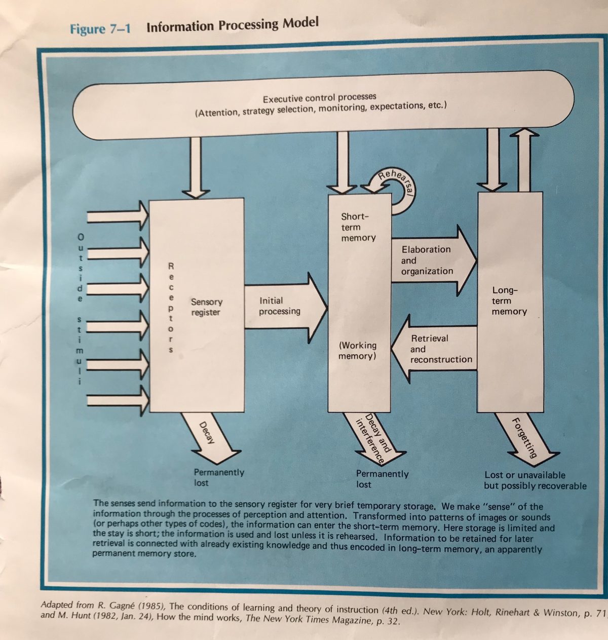 Information Processing Model - Cánh Buồm